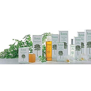 L'Erbolario Absinthium - Unisex Fragrance With A Pleasantly Invigorating Note - Creates An Evocative, Perfumed, Exquisitely Light And Enveloping Mood - Aromatic, Woody Scent - 1.6 Oz EDP Spray