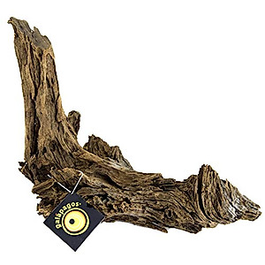 Galápagos (05286) Sinkable Driftwood Bed, Natural, Medium/Large/14-16"