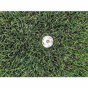 Keyfit Tools FlatMark Stainless Steel Low Profile Property Markers 4 Pack Screw in Flat Boundary Stakes Survey Pins Land Markers 3 Inch Wide Plague x 10 Inch Long Anchor for Property Corners Or Lines