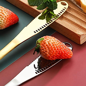 Balaweis 6 Pcs Set Travel Cheese Knives Sharp Stainless Steel with Bamboo Wood Handle Cheese Knife, Shaver, Fork and Spreader