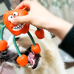 Dog Chew Toy Durable Dog Chew Toys for Puppy Small Large Dog Teeth Cleaning/Chewing/Playing (Orange Apple)