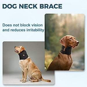 FoxFocus Dog Neck Braces Providing Support for Dogs with Vertebral Neck Injuries, Sprains, and Instability, While Preventing Biting and Licking for Effective Wound Healing