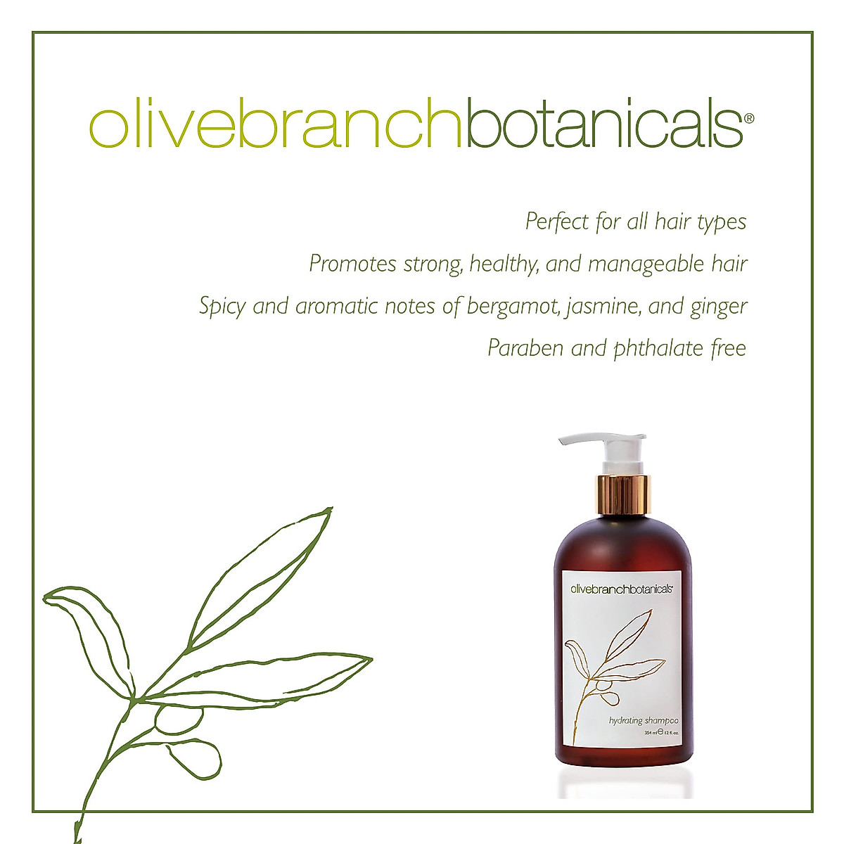 Gilchrist & Soames Olive Branch Shampoo - 12oz - All Hair Types, Zero Parabens, Sulfates, and Phthalates