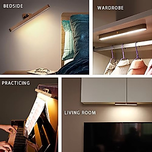 LANDGOO Vanity Lights, Wooden 360° Magnetic Rotatable, USB Rechargeable, Battery Operated, Dimmable LED Lighting Bar for Makeup Mirror, Bedroom, Bathroom, Household (Brown, 1PC)