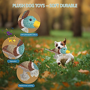 Stuffed Plush Dog Toys for Medium Dogs Squeaky Dog Toys for Dogs Squeaky Plush Dog Toys for Medium Dogs Small Dogs for Teething