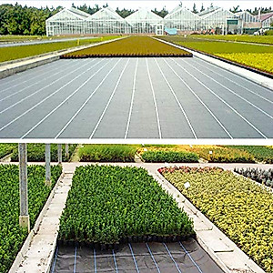 GRASSCLUB Weed Barrier Control Woven Garden Weed Landscape Fabric Heavy Duty Ground Cover 6.5ft x 32ft (208 Sq ft)