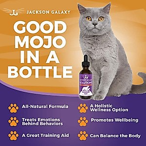 Jackson Galaxy: Scaredy Cat (2 oz.) - Pet Solution - Promotes Sense of Self-Confidence and Reassurance - Perfect for Cats Who Hide and Run from Touch - All-Natural Formula - Reiki Energy