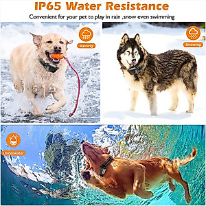 Wireless Dog Fence Pet Safe Containment System,Outdoor Dog Electric Boundary Container System,with Waterproof & Rechargeable Dog Training Collar,Adjustable Control Range 100-990ft,Harmless for Dogs,fo