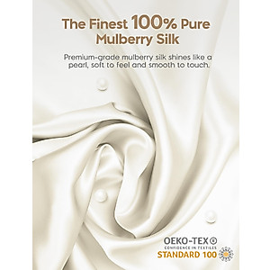 100% Pure Mulberry Silk Pillowcase for Hair & Skin - 22 Momme 6A High-Grade Fibers - Anti-Aging, Anti-Sleep Crease, Cooling Satin Pillowcases with Hidden Zipper, Best Gift Idea (Standard 20x26 Inches)