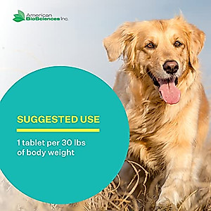 American BioSciences DGP, Joint Supplement for Dogs - Joint Support with Turmeric, Boswellia Extract & More - Quick Effect for Immediate Mobility Support - 60 All-Natural Chewable Pet Tablets (2 Pack)