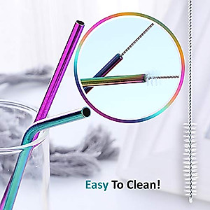 Set of 10 - Stainless Steel Straws, Eco Friendly Metal Straw, Non Disposable Straws, Reusable for Tumbler Yeti or Ozark, With 2 Cleaning Brushes - And Cary Bag, Rainbow
