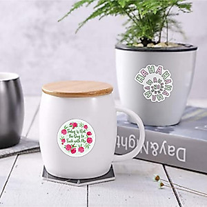 SEMYEIYO 60 PCS Sarcastic Stickers,Funny Stickers for Adults,Snarky, Humorous Quotes Stickers for Water Bottle,Laptop,Phone,Hard Hat,Bumper,Gifts for Adult