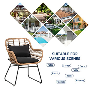 Verano Garden Patio Dining Chair Set of 2, Outdoor Wicker Seating Set with Soft Cushions for Indoor & Outdoor Use, Modern Wicker Dining Chairs for Backyard