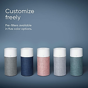 BLUEAIR Blue Pure 411 Auto Light Gray Pre-filter, Washable Fabric Traps Pollen, Pet Hair & Dust, Winter Reed