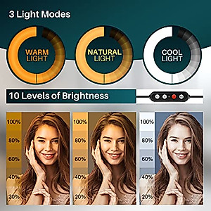 Weilisi 6.5'' Ring Light for Computer, 3 Light Modes Video Conference Lighting, Mini Ring Light Selfie Ring Light for Laptop, Webcam, Zoom, Desk