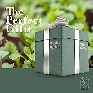 Window Garden Herbs Kit - Herb Growing Kit, Easy to Grow Herbs Seeds for Kitchen sill Indoors or Outdoors, Planting Made Easy with This Spice Garden Starter with Bamboo Markers, Gardening Kit