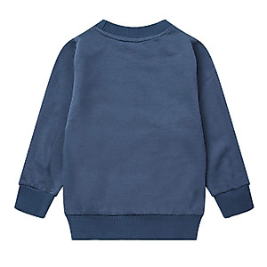 Akyzic Boy Dinosaur Sweatshirts Toddler Long Sleeve Cotton Pullover Cartoon T-Shirts Sport Top Tee For Kids 2-7T dinosaur3-8009-4T