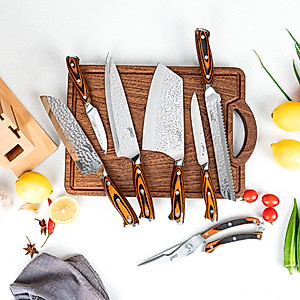 Durust Kitchen Knife Set with Beech Wood Block, 9-Piece 5Cr15Mov Stainless Steel Knives with Pakkawood +S/S 430 Bolster Handle,