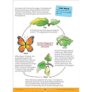 School Zone - Big Science Workbook - 320 Pages, Ages 7 to 9, 2nd Grade, 3rd Grade, Weather, Seeds, Plants, Insects, Mammals, Ocean Life, Birds, and More (School Zone Big Workbook Series)