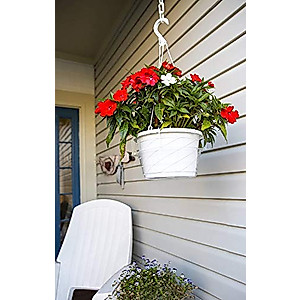 Curtis Wagner 10" Clear Hanging Basket Drip Pan Saucer (10-Pack)