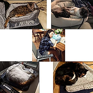 DEOMAN Pet Heating Pad for Small Dogs Cats Heated Bed mat Indoor Electric Cat Heating pad Waterproof Dog Heating pad Chew Proof Cord,Easy Clean