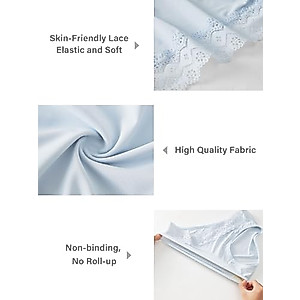 MEIYATING Women’s Panties Lace Low Rise Sexy Hipster Bikini Underwear Seamless Cute Stretch Silky Pack(Multicolor,XL)