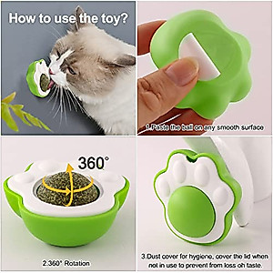 Havenfly Catnip Ball, Edible Catnip Balls for Cats Wall, Kitty Toys for Catnip Wall Ball, Rotatable Mint Ball Kitten Chew Treats for Teeth Cleaning Biting Dental Care