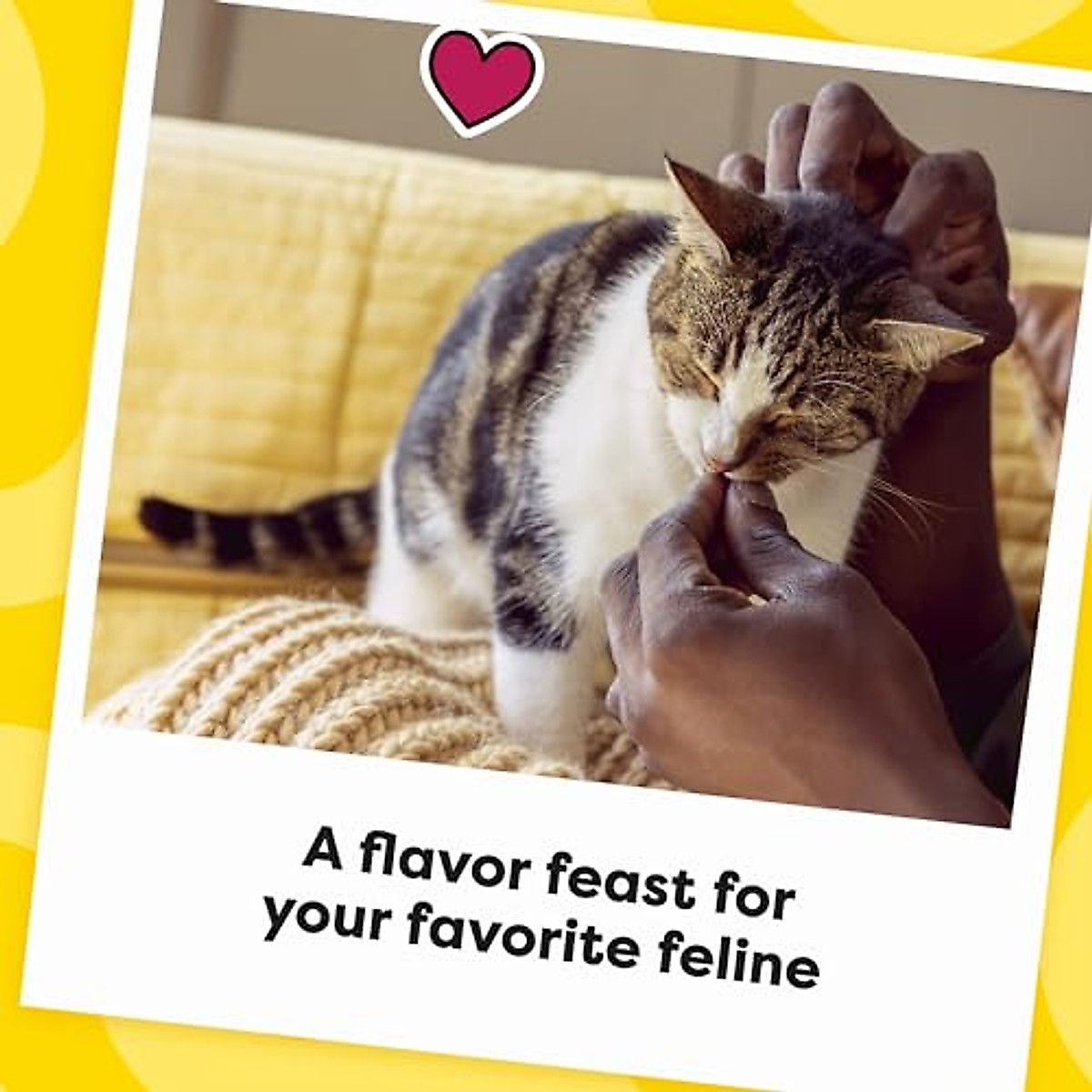 Temptations MixUps Crunchy and Soft Cat Treats Surfer's Delight Flavor, 16 oz. Tub