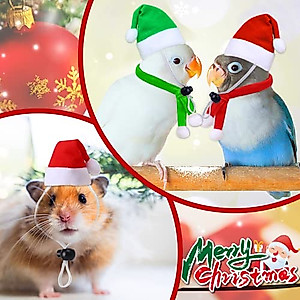 JUNEBRUSHS 12 Pcs Mini Santa Hats,Christmas Pet Chicken Hat Scarf Set Red Green Small Animal Hat with Adjustable for Poultry Hen Rooster Hamster Duck Lizard Guinea Pigs