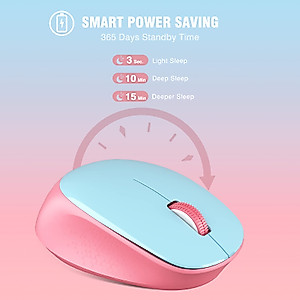 Trueque Wireless Mouse E702 2.4GHz Portable Computer Mouse with USB Receiver, Comfortable Silent Mice for Laptop, Chromebook, PC, Notebook, Desktop, Windows, Mac (Blue&Pink)