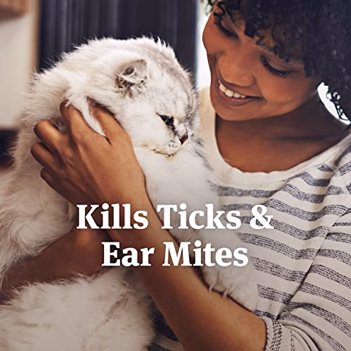 PetArmor Ear Mite and Tick Treatment for Cats, 3 Fl Oz (Pack of 1)