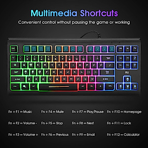 Rii Gaming Keyboard,87-Keys RGB Backlit Compact Keyboard,Silent Computer Keyboard,Wired Tenkeyless Keyboard for Laptop,PC,Windows,Mac