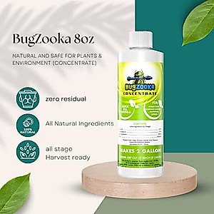 BugZooka 8oz Concentrate: Makes 2 Gallons All Natural Prevents Ants, Spiders, Aphids, Whiteflies, Caterpillars, Thrips, Stink Bugs,miticides, Pesticides, and Fungicide All Stages of Crops USDA