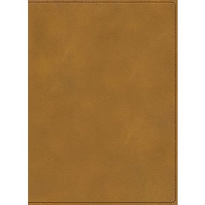 RVR 1960 Biblia ilustrada de la Tierra Santa, café símil piel / RVR 1960 Holy land Study Bible, brown LeatherTouch (Spanish Edition)