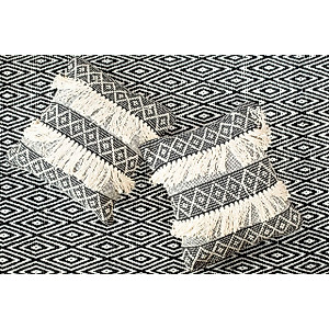Chardin home Black & Ivory Boho Pillow Covers, Set of 2 Decorative Throw Pillow Covers 20x20 with Fringe Tassels | Farmhouse Pillow Cover with Woven Diamond Design