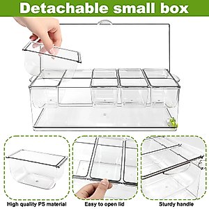 Ice Chilled Condiment Server Caddy, Bar Fruit Caddy with Lid and 5 Removable Compartments, Plastic Storage Food Container Clear Ice Condiment Serving Tray for Party, Toppings Bar Container