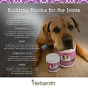 Herbsmith Sound Dog Viscosity – Advanced Joint Support for Dogs – Veterinarian Recommended Glucosamine for Dogs, Hyaluronic Acid, Chondroitin, MSM – Natural Arthritis Pain Relief – 60ct Large Chews