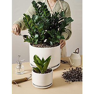 LE TAUCI 12 Inch Pots for Plants, Ceramic Pots for Indoor Plants, Plant Pots for Home & Office, Modern Flower Pots Fit Mid Century Plant Stand, Planters with Drainage Holes and Saucers, White