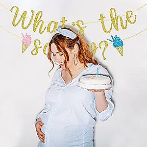What's The Scoop Banner, Ice Cream Gender Reveal Banner, Baby Shower Decorations
