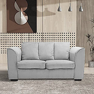 EMKK Fabric Modern Comfy Loveseat Sofa Couch for Living Room, 62" W Upholstered 2-Seater Furniture for Compact Small Space, Apartment, Bedroom, Dorm, Office, Grey