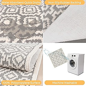 The Sofia Rugs Entryway Rug - Absorbent Door Mat Indoor with Non-Slip TPR Backing - Dirt Trapping Washable Indoor Doormat - Perfect Indoor Door Rug for Dogs, Kids, and High Traffic Areas