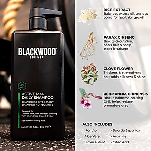 BLACKWOOD FOR MEN Active Man Daily Shampoo - Thickening & Clarifying Shampoo for Normal to Oily Hair or Scalp - Fights Hair Loss - Natural Vegan Formula - Sulfate Free with Ginseng & Aloe Vera (17oz)