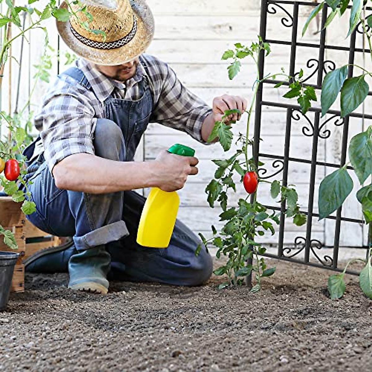 YITAHOME Garden Trellis Garden Fencing for Climbing Plants 2 Pack Decorative Plant Trellis Vegetables and Flower Trellis for Outdoor Patio-19.7×70.9 inches