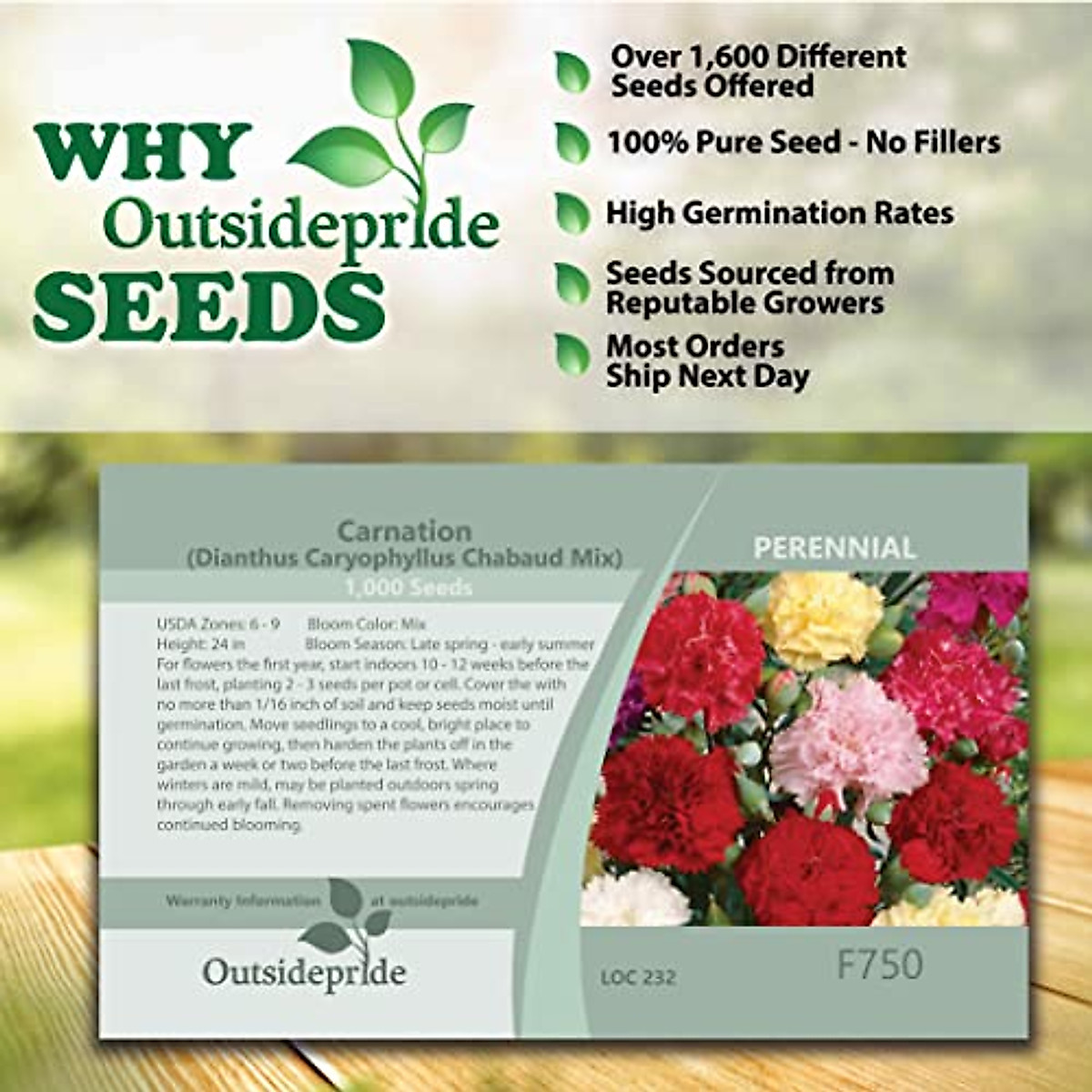 Outsidepride Dianthus C aryophyllus Carnation Chabaud Garden Cut Flower Seed Mix - 1000 Seeds