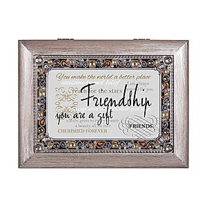 Cottage Garden Friendship You are a Gift Brushed Pewter Jeweled Music Box Plays What Friends are for