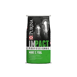 Purina Impact | Professional Mare & Foal Horse Feed | 50 Pound (50 LB) Bag