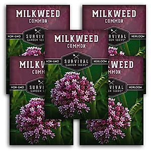 SURVIVAL GARDEN SEEDS Common Milkweed Seeds for Planting - 5 Packs with Instructions Grow Asclepias Syriaca Wildflowers - Attract Monarch Butterflies & Help Conservation Non-GMO Heirloom Variety