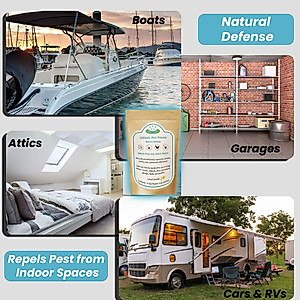 UpBloom | Pest Prevent All-Natural Pest Repellents – Home and Garage Defense from Mouse, Spider, Roaches, and Insects – 10 Pest Control and Repeller Pouches for Pest Defense and Insect Pest Control