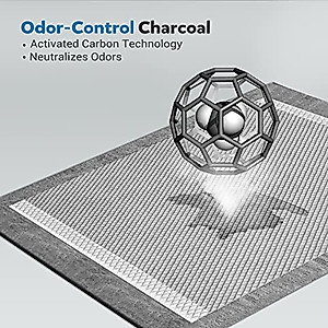 MIZOK Pee Pads for Dogs Large 28x34 Inches, Charcoal Puppy Pads New & Improved Odor-Control Absorbs Up to 8 Cups of Urine Dog Pee Pads, 6-Layer Leak-Proof Wee Wee Pads for Dogs (40 Counts)