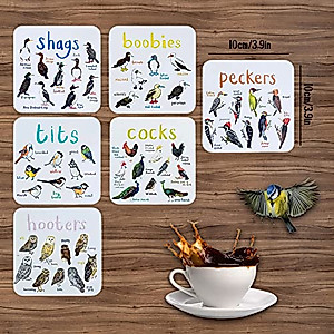 Set of 6 Bird Pun Coasters, 2023 New Square Drinks Coaster, Thicken Funny Bird Coasters Suitable for Home Kitchen Bar Table Decorations, Gifts for Bird Lovers
